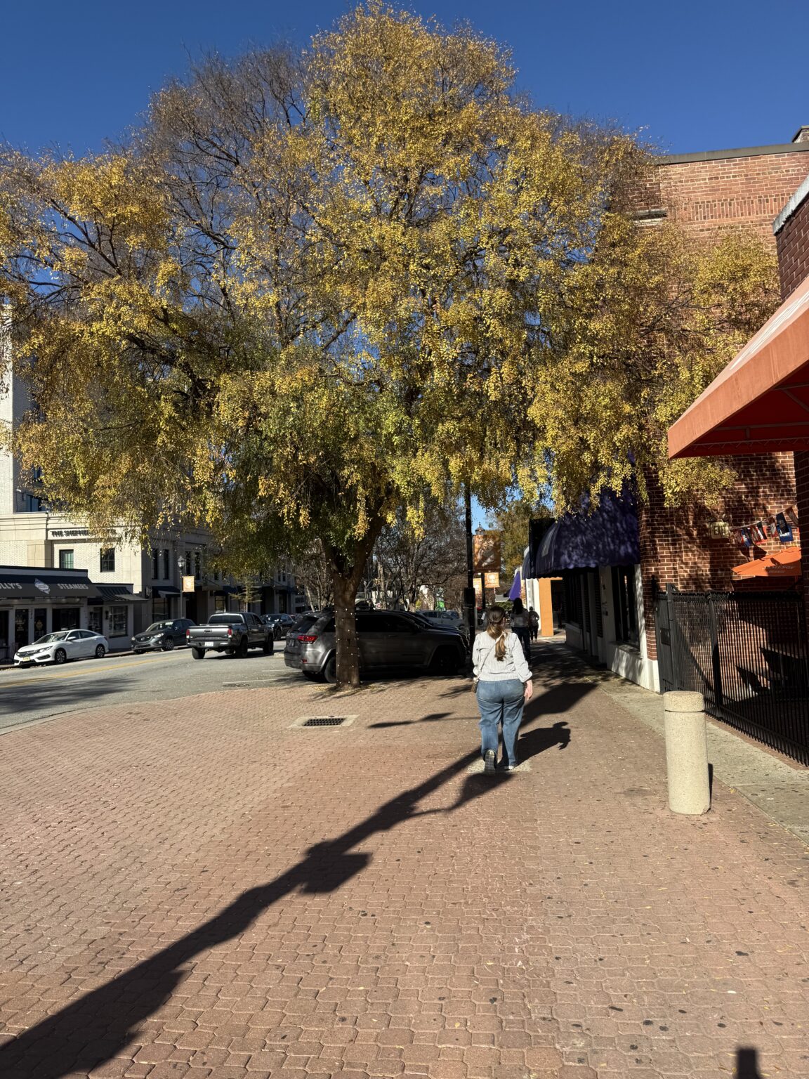 Clemson University Visit Guide: Campus Culture, Academics, and What ...